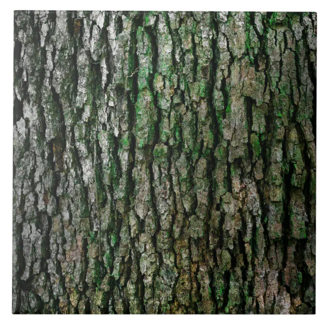 Tree bark texture tile | Zazzle
