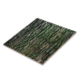 Tree bark texture tile | Zazzle