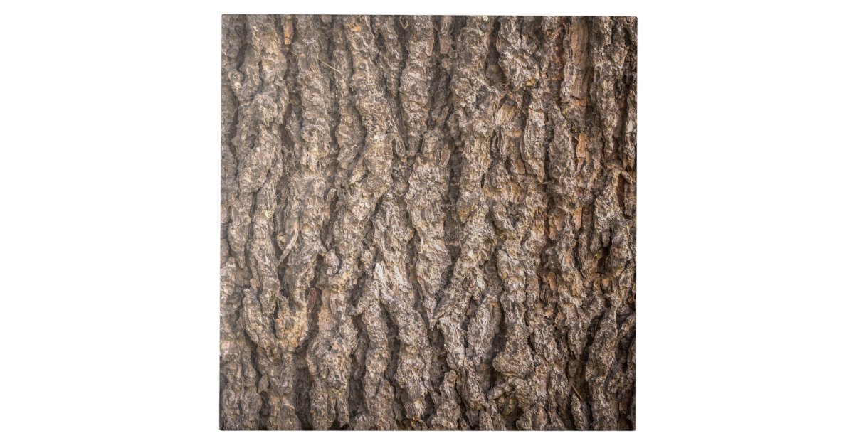 Tree Bark Texture Tile | Zazzle