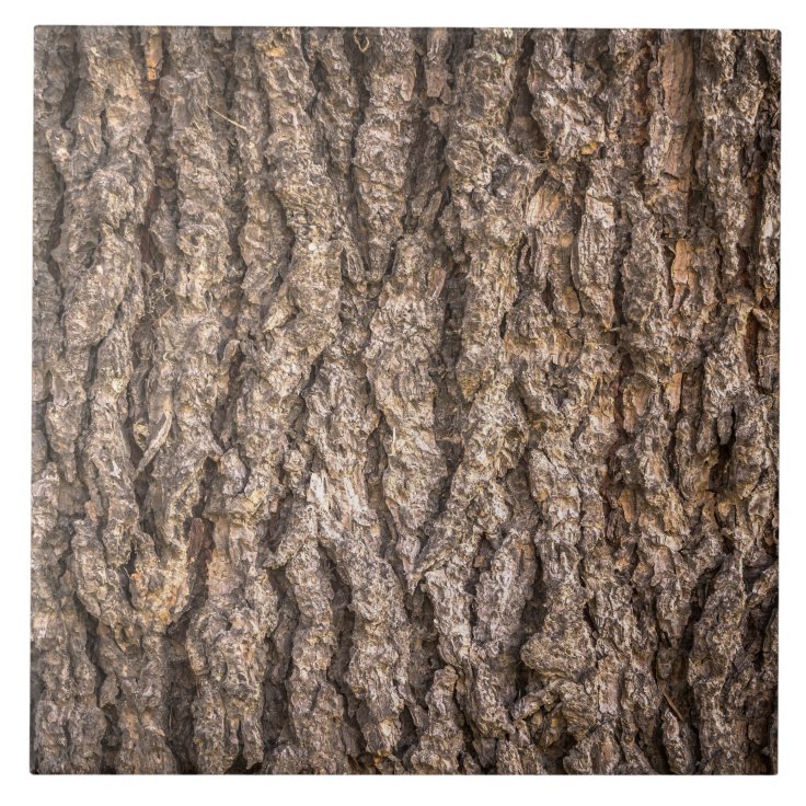 Tree Bark Texture Tile | Zazzle