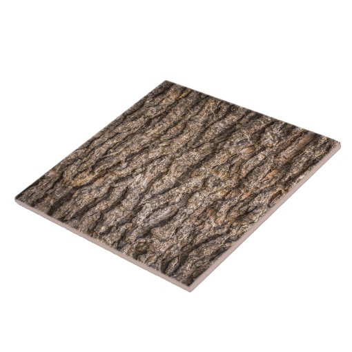 Tree Bark Texture Tile | Zazzle