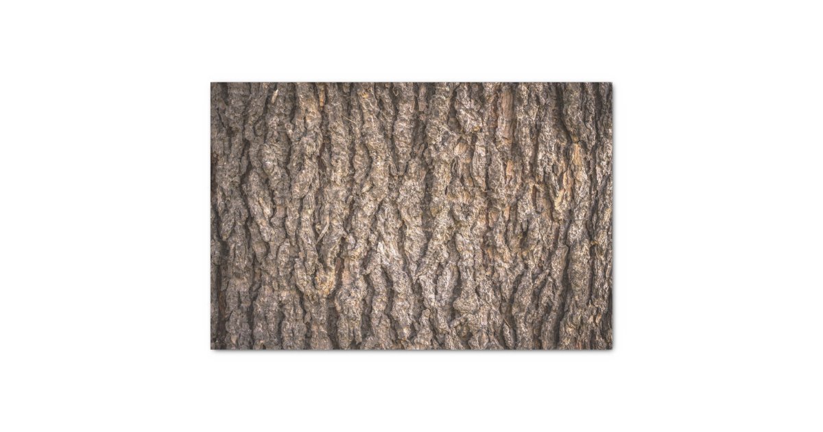 Tree Bark Texture Tissue Paper | Zazzle