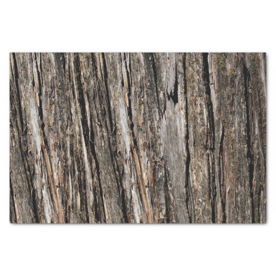 Tree Bark Tissue Paper | Zazzle.com