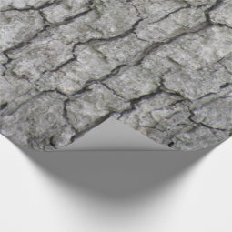 Tree Bark Wrapping Paper | Zazzle