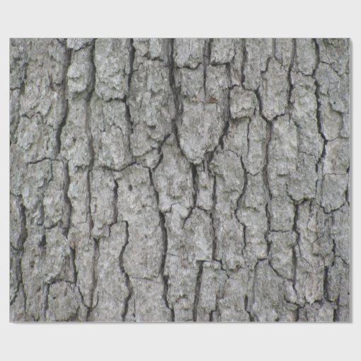 Tree Bark Wrapping Paper | Zazzle