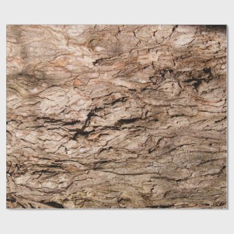 Tree Bark Wrapping Paper | Zazzle