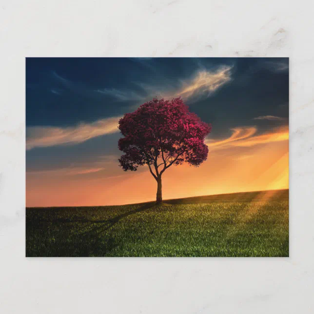 Tree beautiful nature scenery postcard | Zazzle