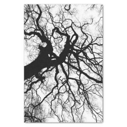 Tree Black and White Silhouette Tissue Paper | Zazzle