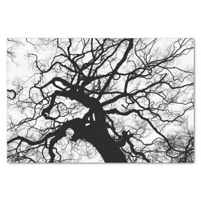 Tree Black and White Silhouette Tissue Paper | Zazzle