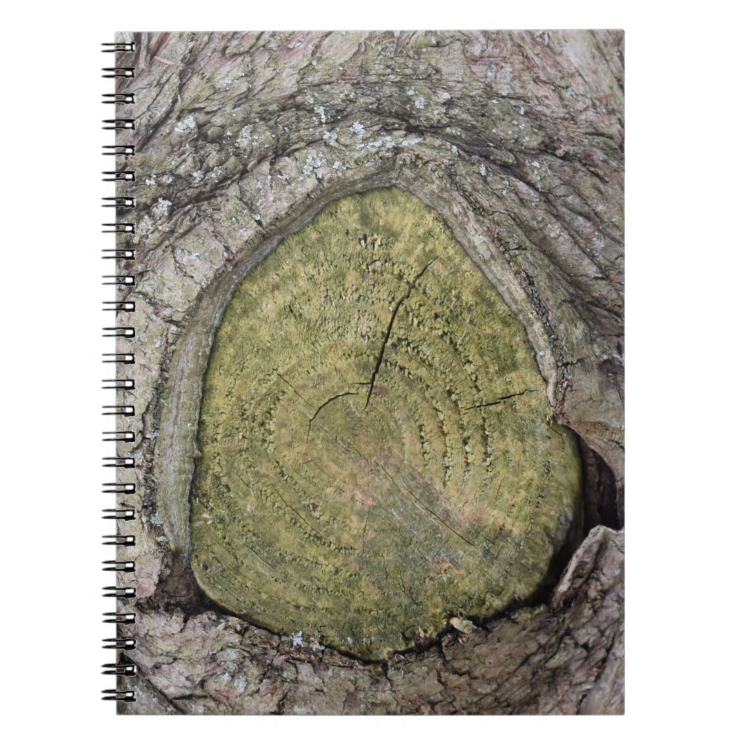 Tree Branch Stub Close Up Notebook | Zazzle