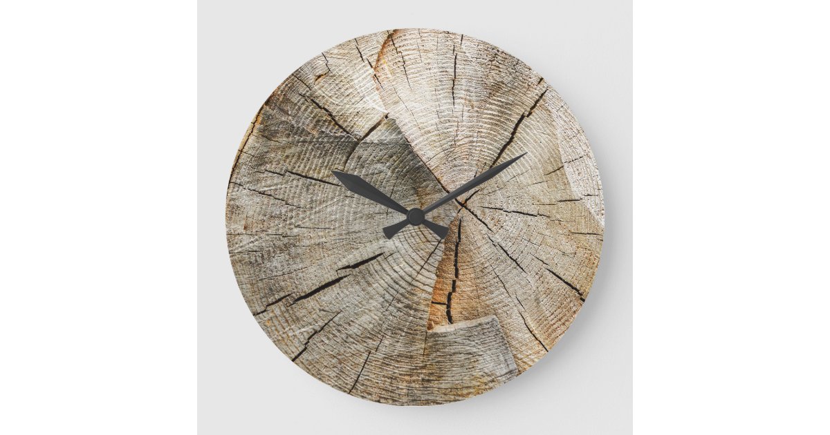 Tree Cross Section Large Clock | Zazzle