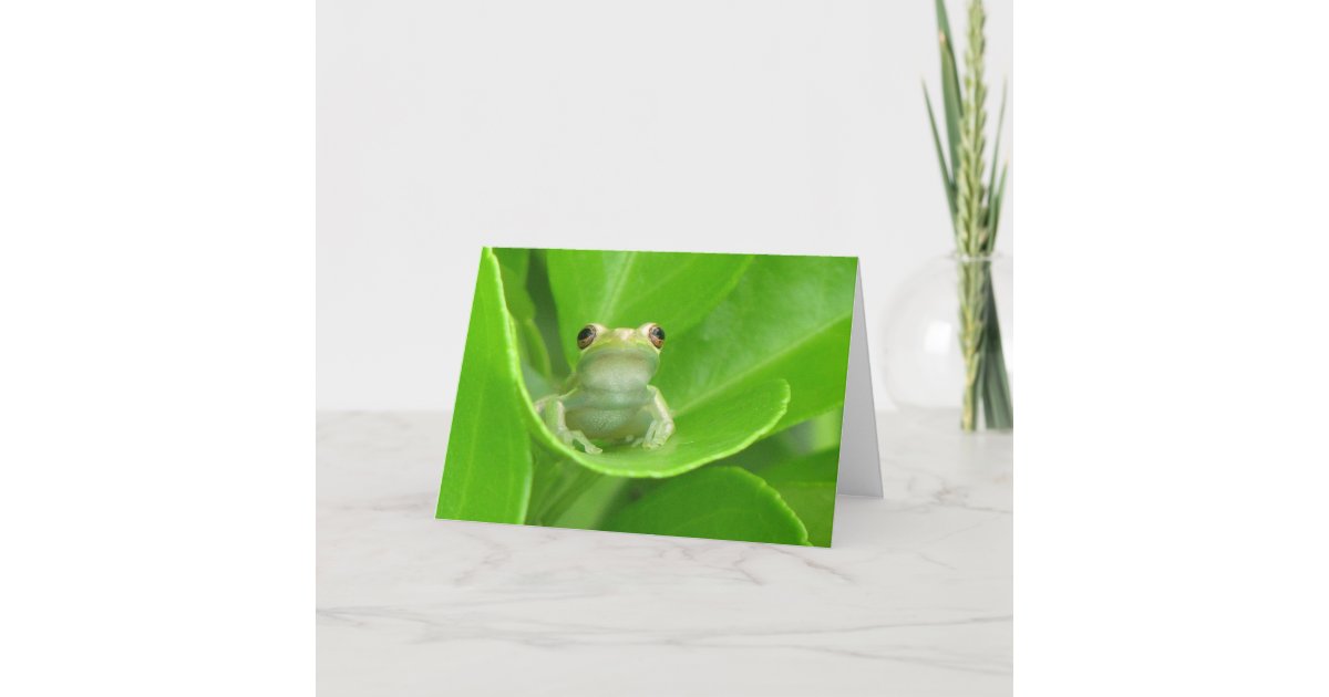 Tree Frog Birthday Card | Zazzle