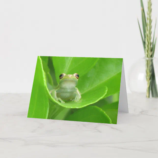 Tree Frog Birthday Card | Zazzle