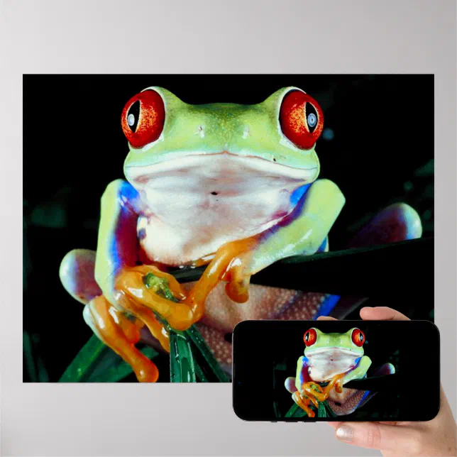 Tree Frog poster | Zazzle