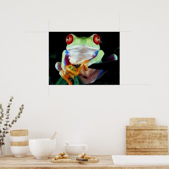 Tree Frog poster | Zazzle