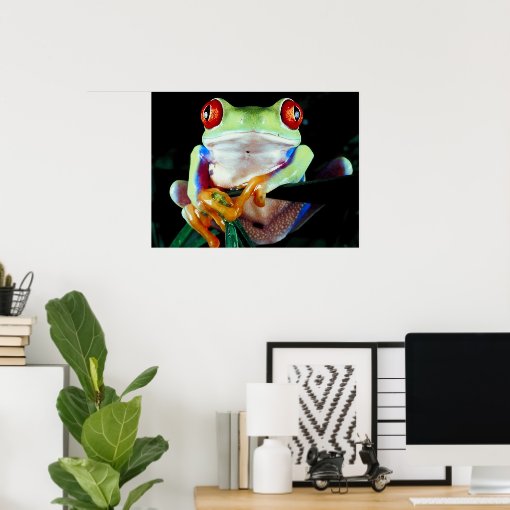 Tree Frog poster | Zazzle