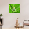 Tree Frog Poster | Zazzle