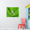 Tree Frog Poster | Zazzle