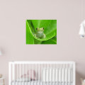 Tree Frog Poster | Zazzle
