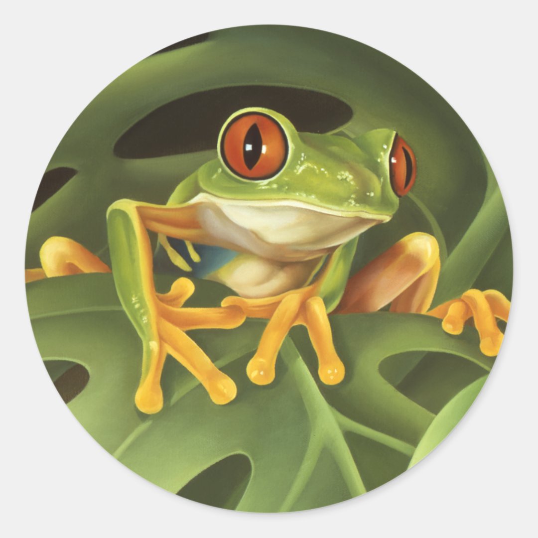 Tree Frog Sticker | Zazzle