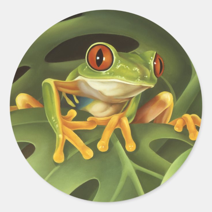 Tree Frog Sticker | Zazzle