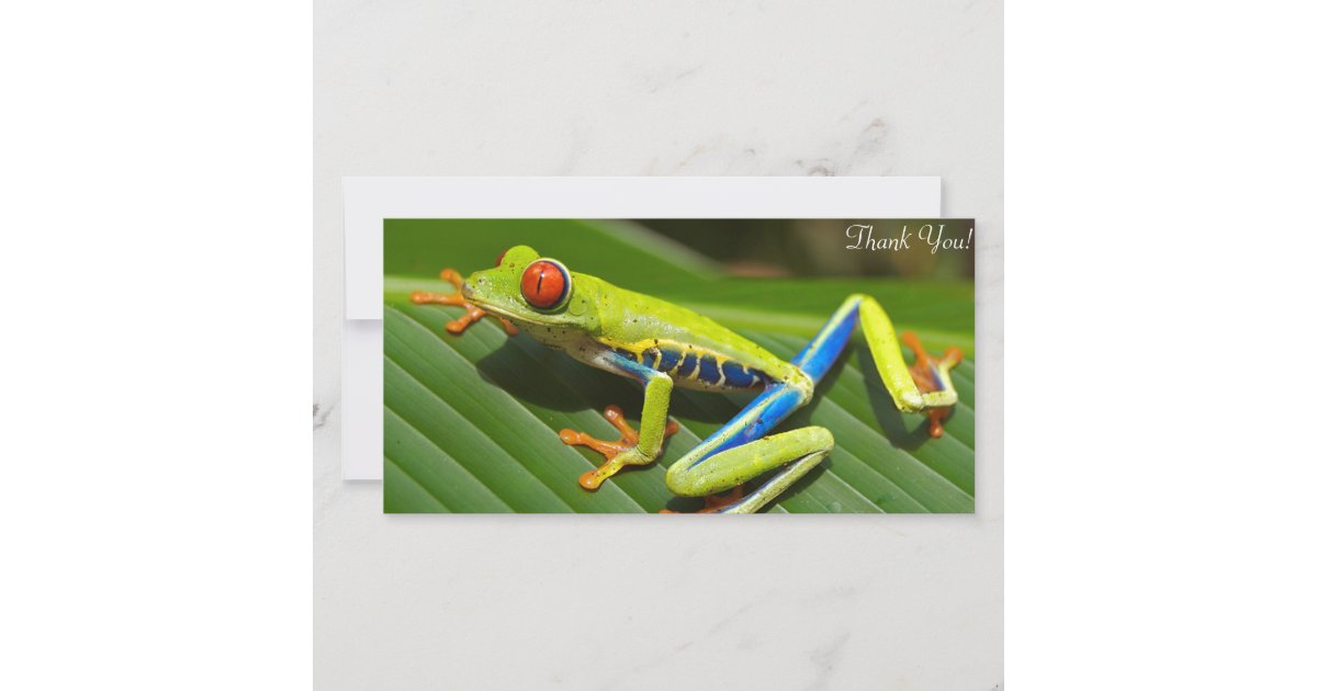 Tree Frog Thank You Card | Zazzle
