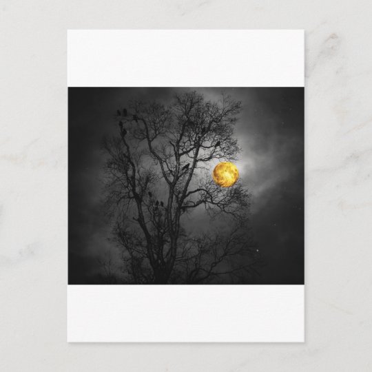 Tree full of ravens with a full moon. postcard | Zazzle.com
