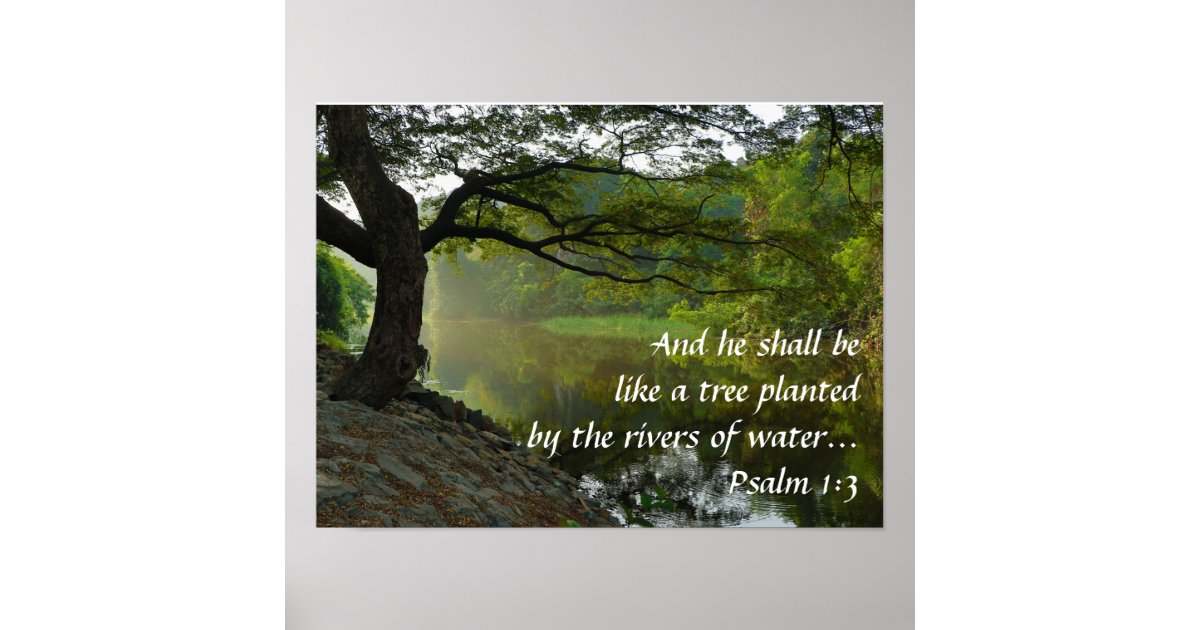 Tree Growing Near Water, Psalm 1:3, Scripture Poster | Zazzle