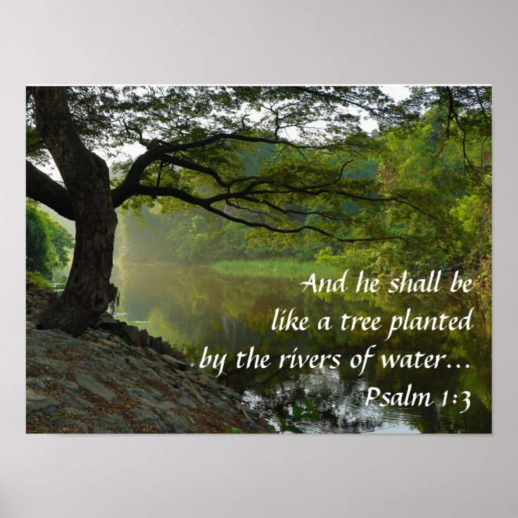 Tree Growing Near Water, Psalm 1:3, Scripture Poster | Zazzle