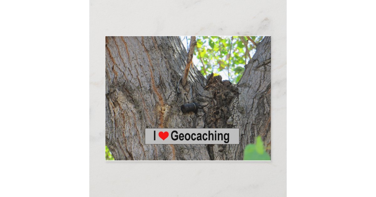 Tree Hanger Cache: Geocaching Postcard | Zazzle