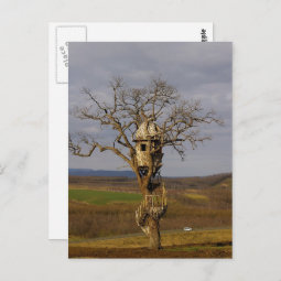 Tree House Postcard | Zazzle