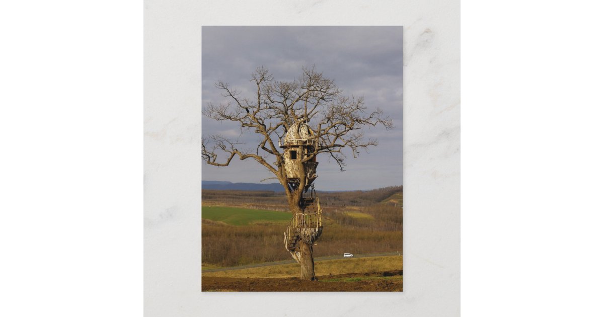 Tree House Postcard | Zazzle