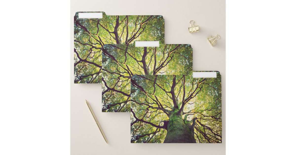 Tree Hugging File Folder | Zazzle