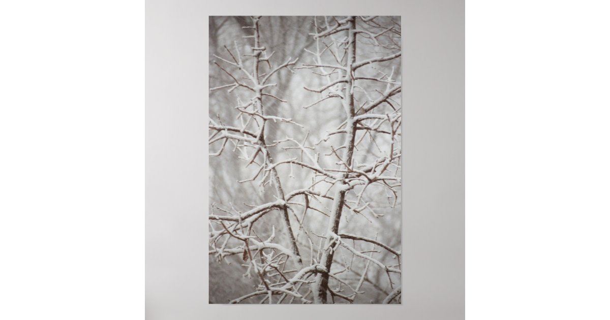 Tree in a Snowstorm Poster | Zazzle