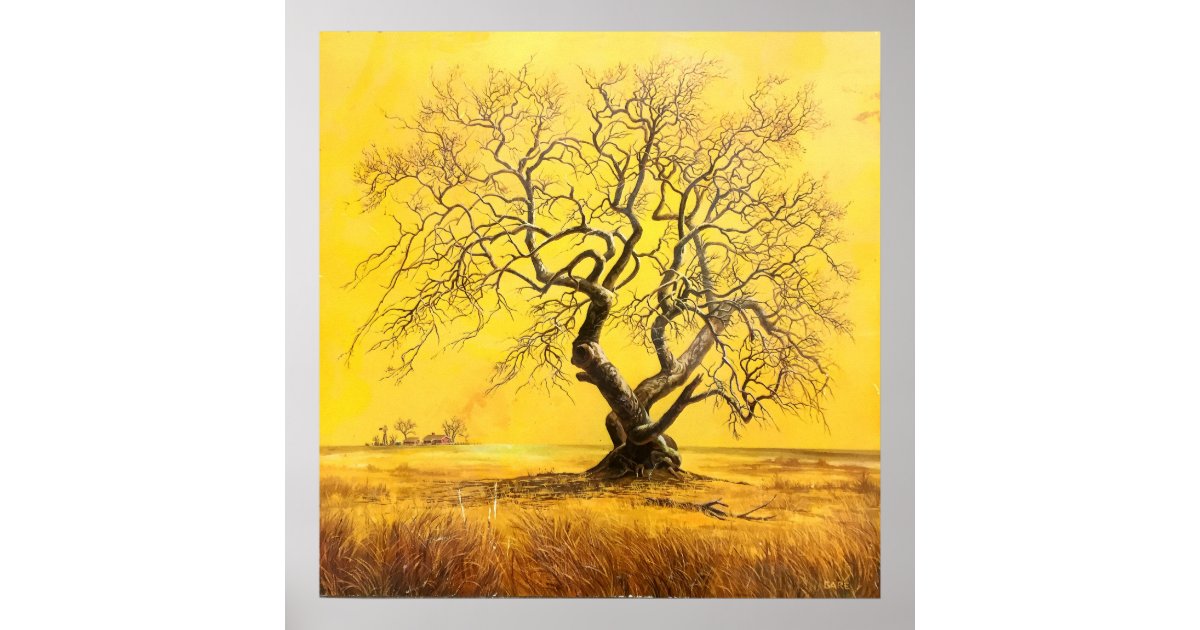 Tree in Golden Light Poster | Zazzle