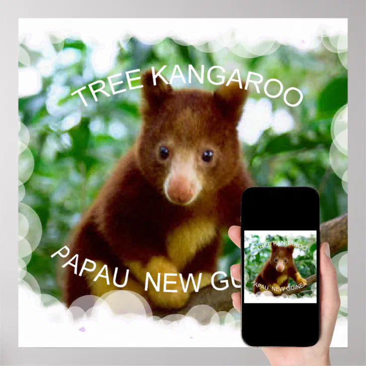 Tree kangaroo poster | Zazzle
