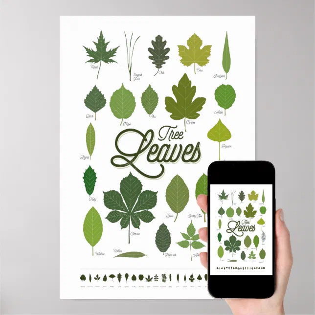 TREE LEAVES póster Poster | Zazzle