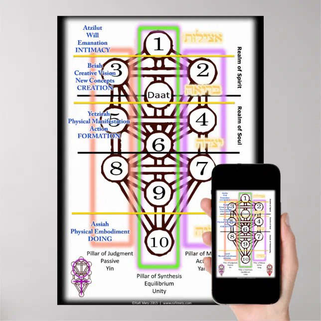 Tree of Life Diagram | All Sizes Poster | Zazzle