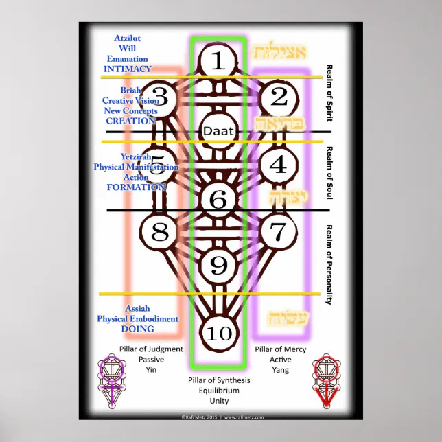 Tree of Life Diagram | All Sizes Poster | Zazzle
