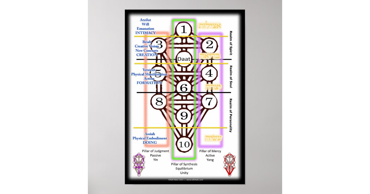 Tree of Life Diagram | Small Poster | Zazzle