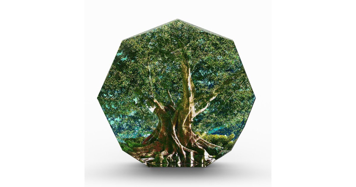 Tree of Life Green Acrylic Award | Zazzle