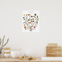 Tree of Life Poster | Zazzle