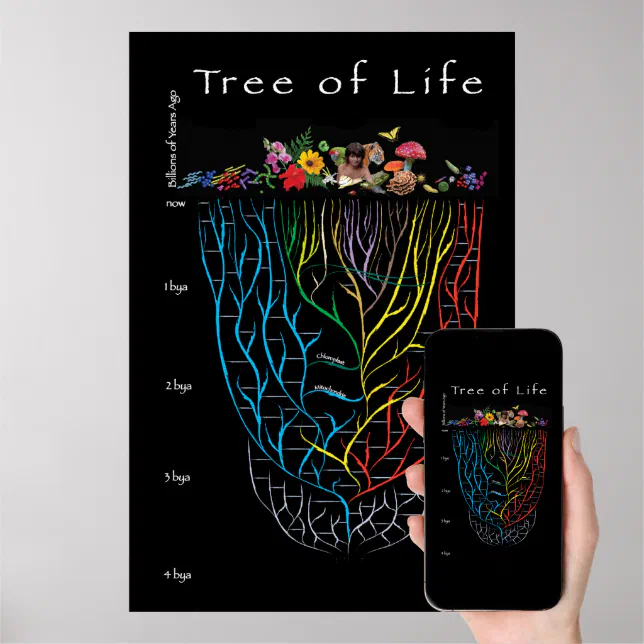 Tree of Life Poster | Zazzle