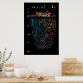 Tree of Life Poster | Zazzle