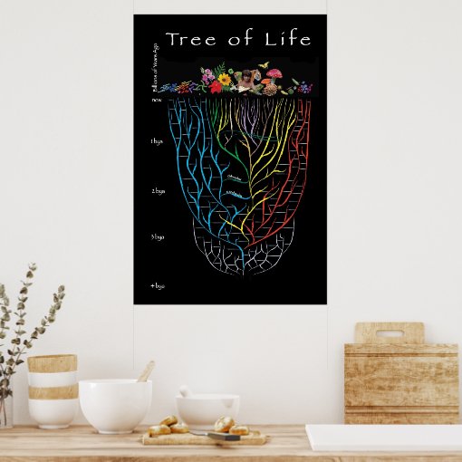 Tree of Life Poster | Zazzle