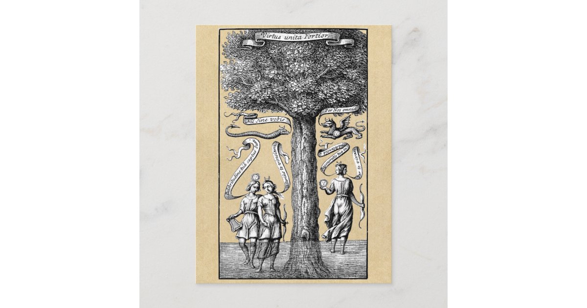 Tree of Opposites United in Alchemy Postcard | Zazzle