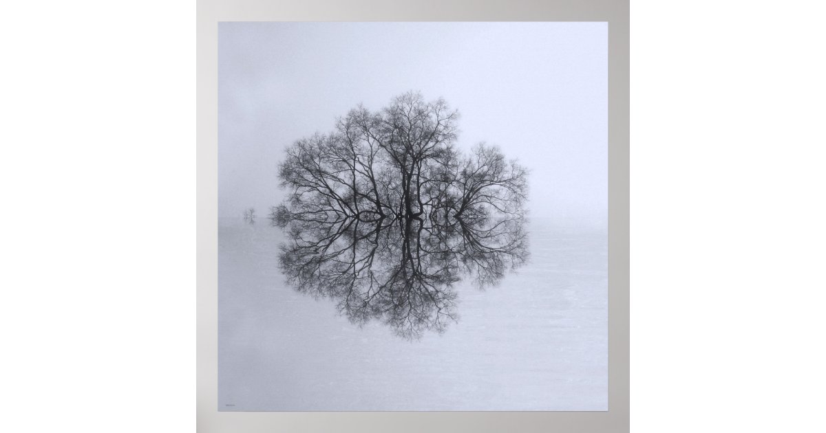 Tree of Reflection Art Poster Print | Zazzle