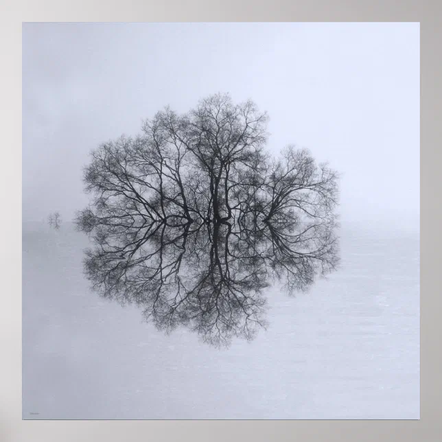 Tree of Reflection Art Poster Print | Zazzle