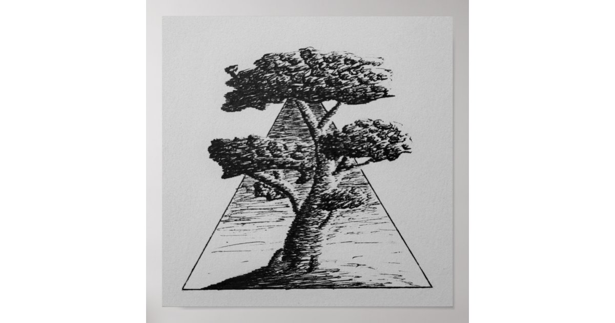 Tree Pen Drawing Poster | Zazzle