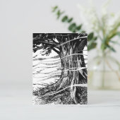 Tree Postcard | Zazzle
